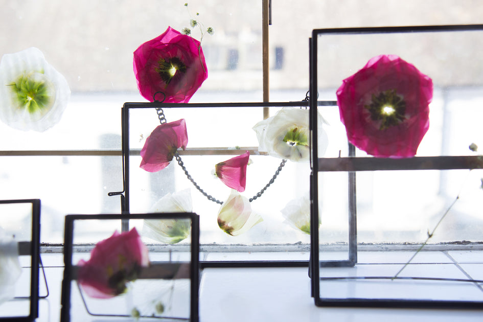 DIY Floating Flower Frames with Pressed Flowers – Industry & Co - Home
