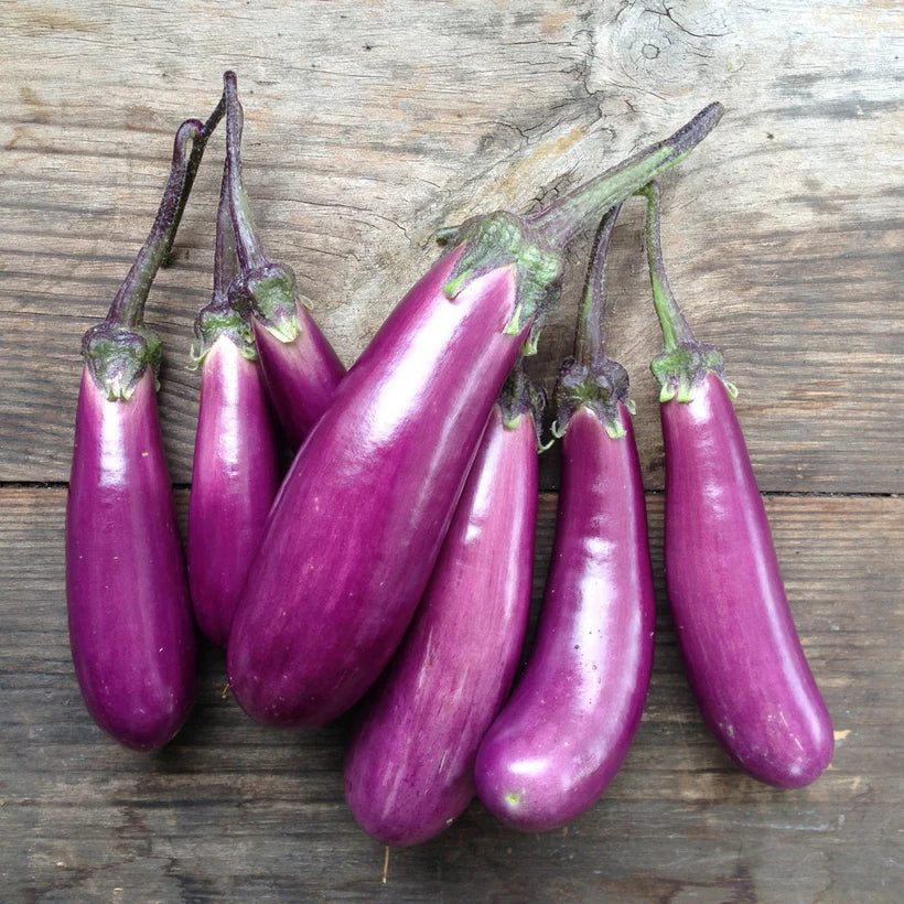 Seed Packets - Eggplant - Slim Jim – Industry & Co - Home