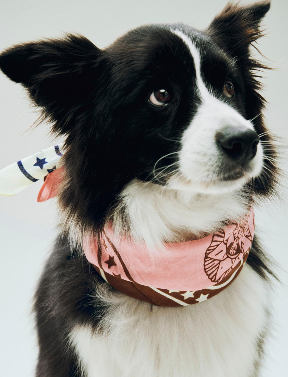 Dog Scarf - Recycled - Pink – Industry & Co - Home